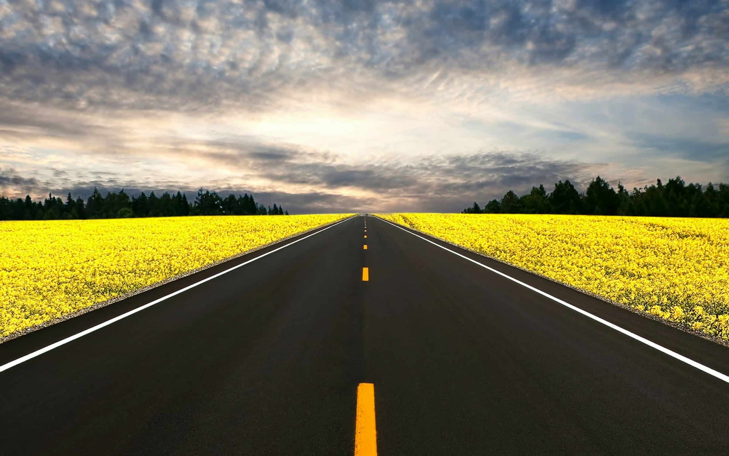 Road Map Growth Plan - SHINE Strategy